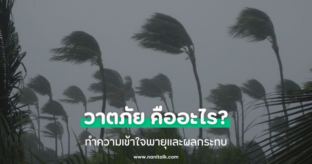 วาตภัย (Storm) คืออะไร? ทำความเข้าใจพายุและผลกระทบ